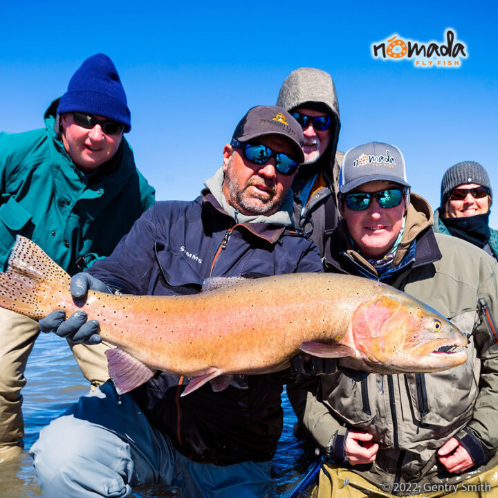 Dry Creek Outfitters | Your Tucson, Arizona Fly Fishing Shop!